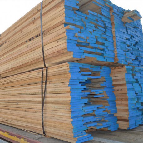 Encino Americano | MADERERIA.MX